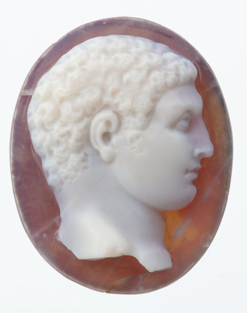 Portret Adonisa | Muzeum Narodowe w Krakowie - digital collection