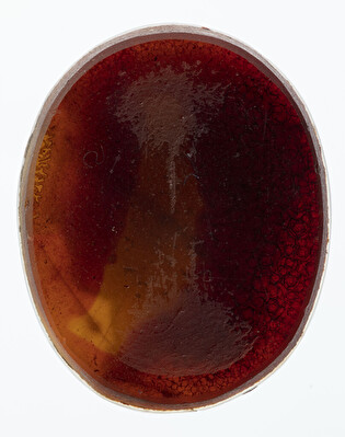 Portret Adonisa | Muzeum Narodowe w Krakowie - zbiory cyfrowe