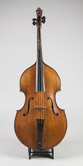 Viola da gamba | Muzeum Narodowe w Krakowie - zbiory cyfrowe