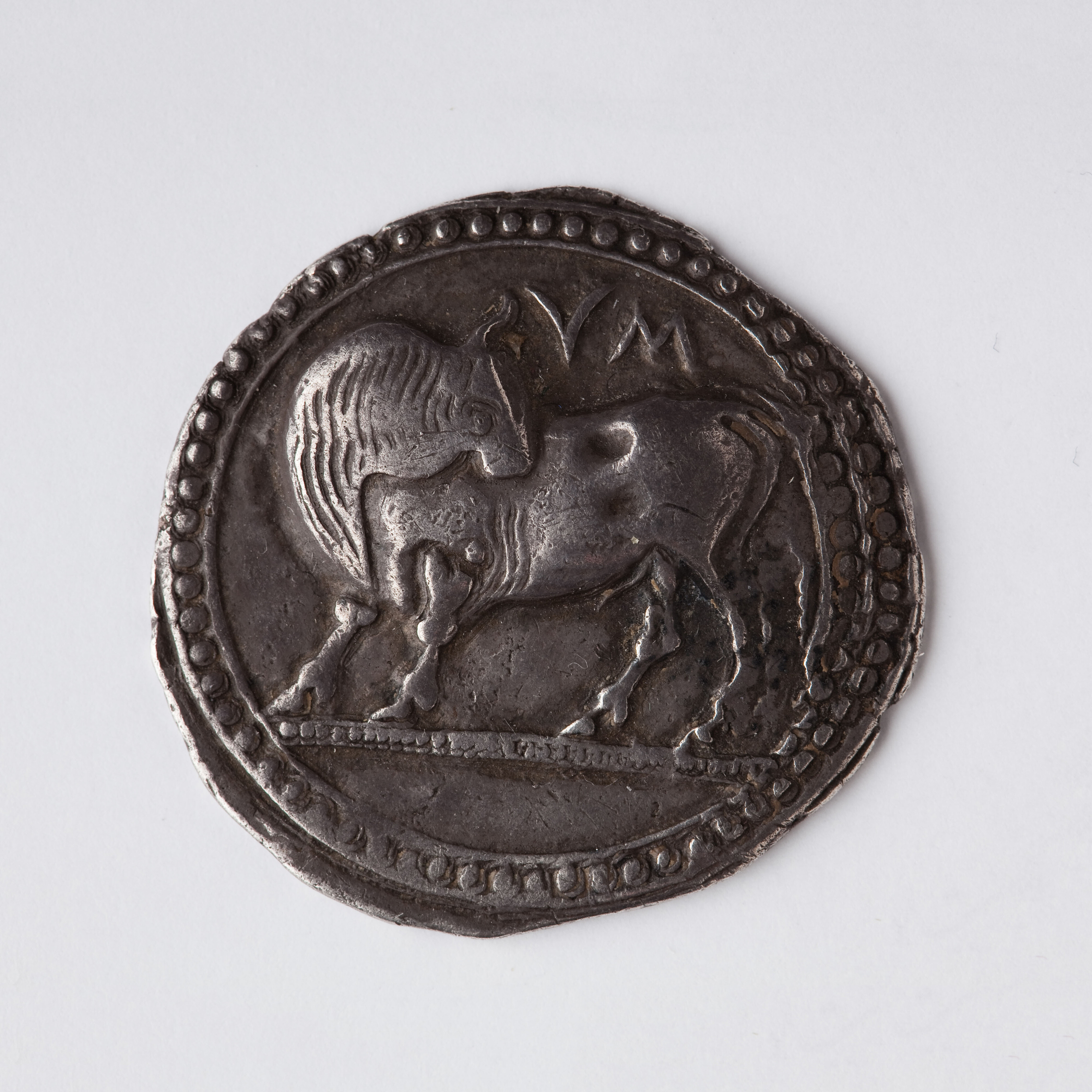 Lukania, Sybaris, stater; ok. 550–510 p.n.e. | Muzeum Narodowe w ...
