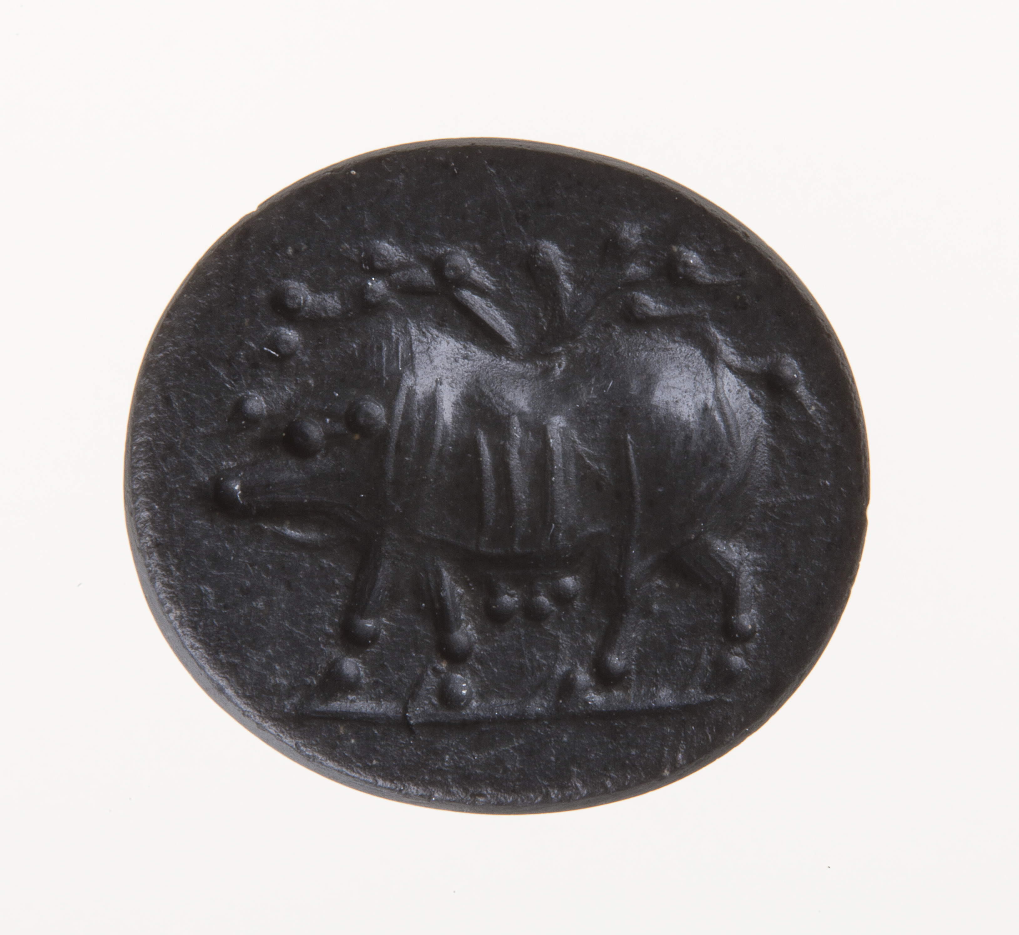 Maciora | Muzeum Narodowe w Krakowie - zbiory cyfrowe